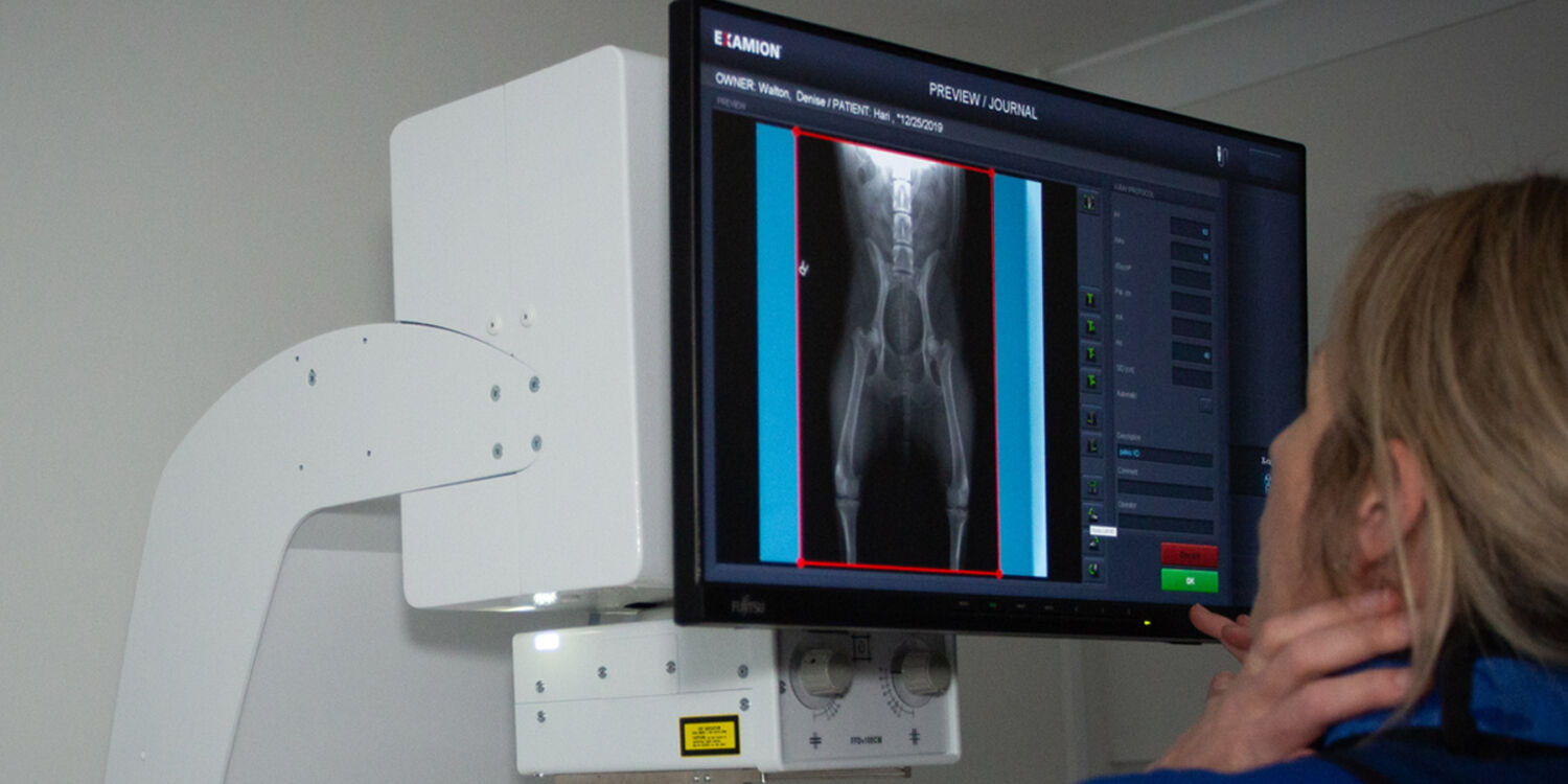 Diagnostic Imaging | Helps Diagnose Issues Quickly