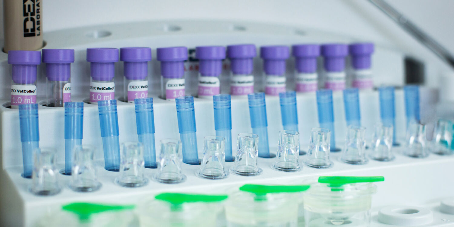 Full In-House Laboratory | Fully Equipped