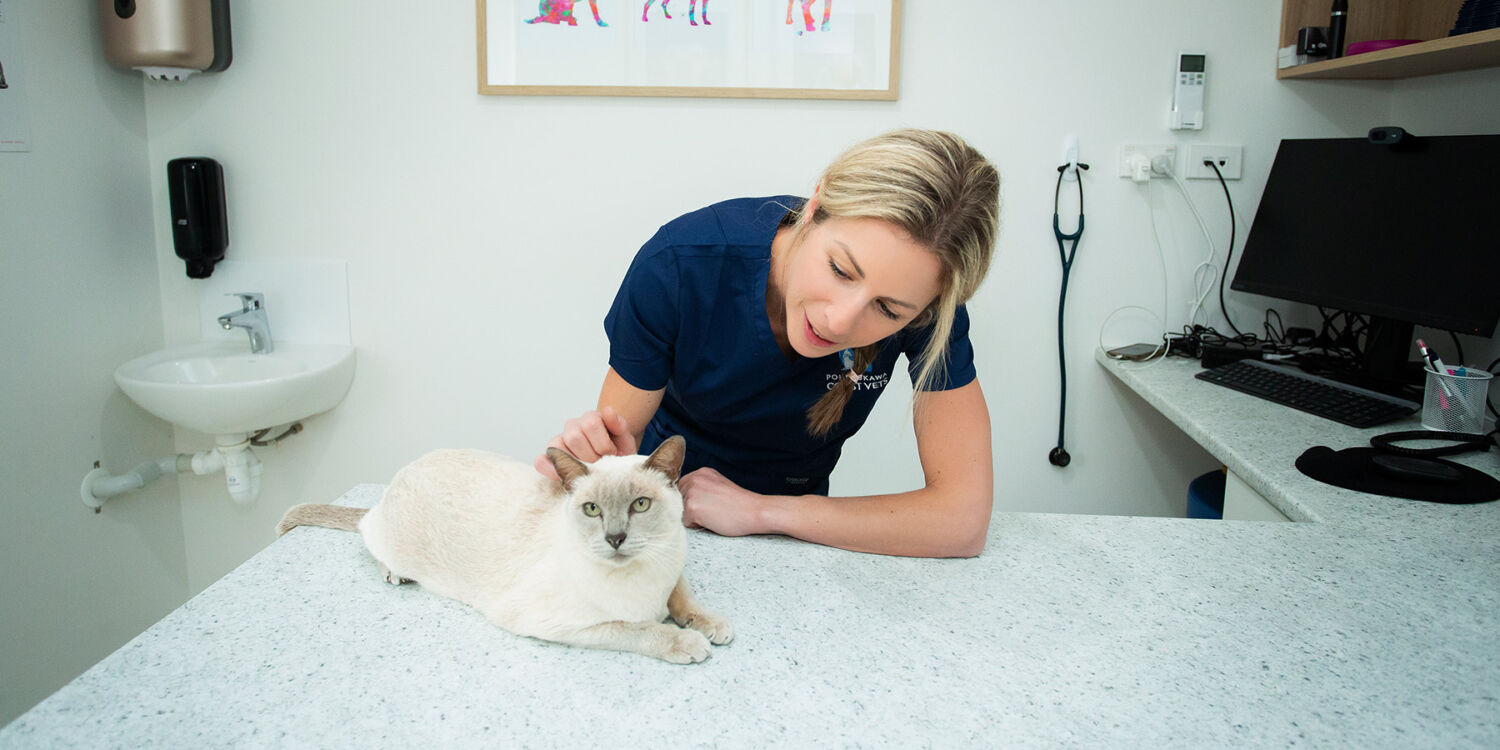 Pohutukawa Coast Vet Reviews | Hear from happy customers