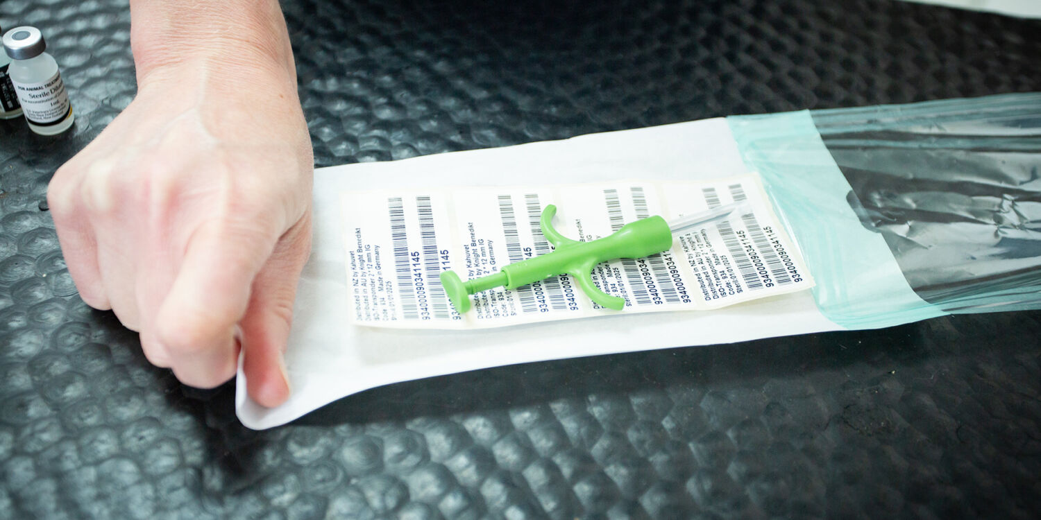 Microchipping | A Quick & Simple Procedure