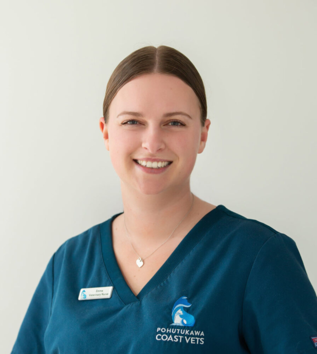 About US at Pohutakawa Vets | Find Out More
